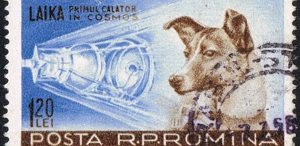 Hond Laika gaat als eerste levende wezen de ruimte in | IsGeschiedenis
