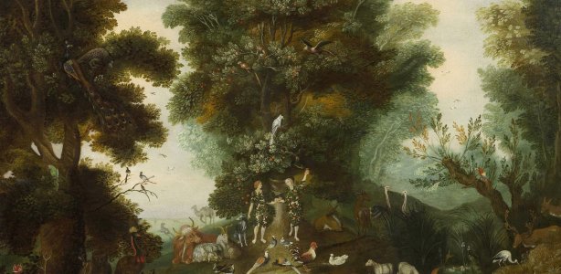 Creationisme: verschillende scheppingsverhalen | IsGeschiedenis