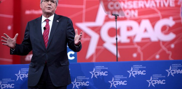 De levensloop van Jeb Bush | IsGeschiedenis