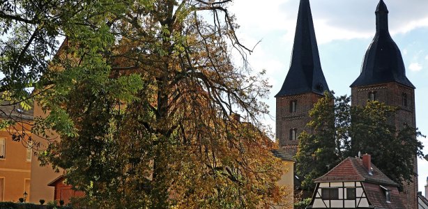 De Lutherwegen: Het fluisteren van Spalatin | IsGeschiedenis